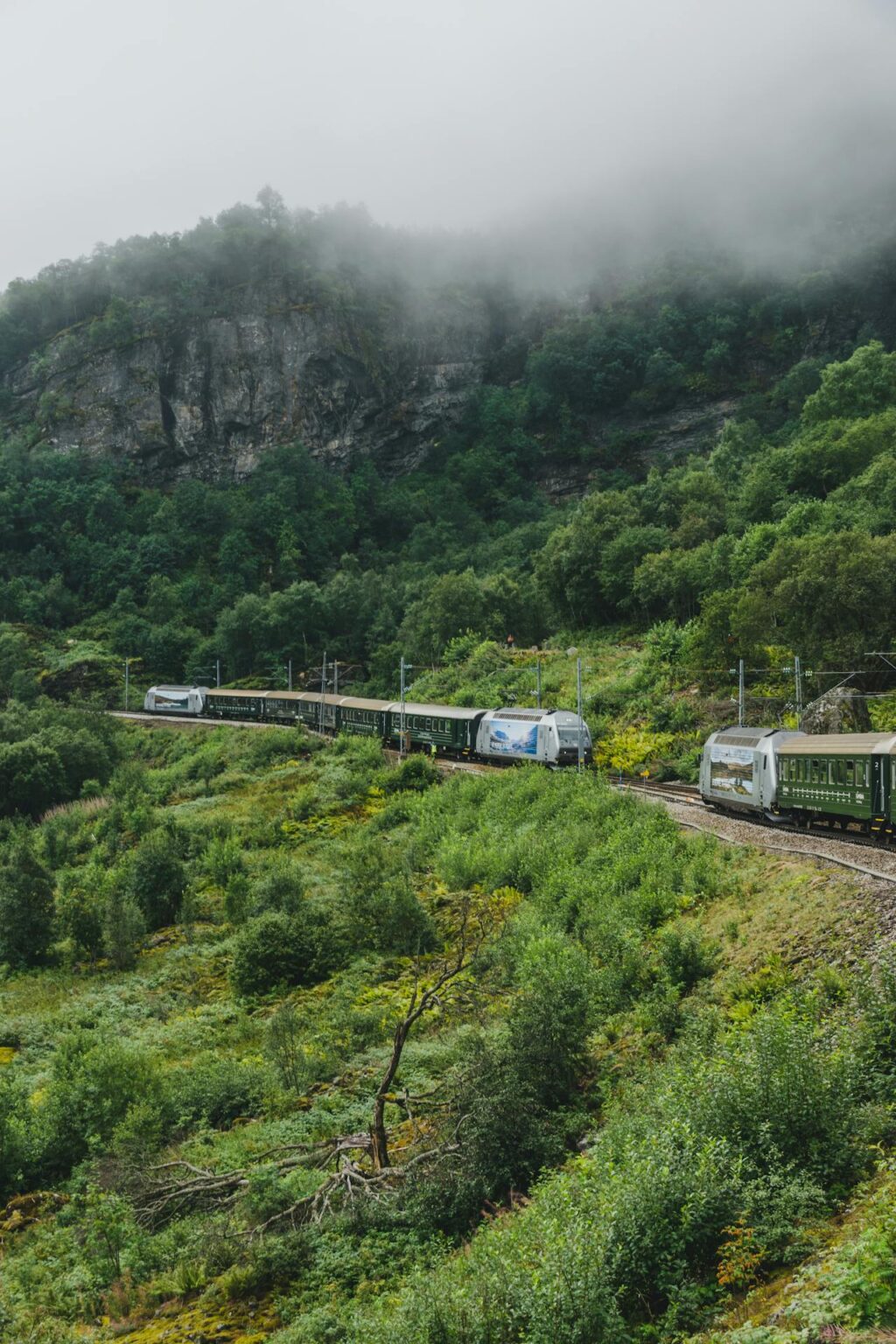 See Norway by Train for A Fascinating Journey | Rail Escape